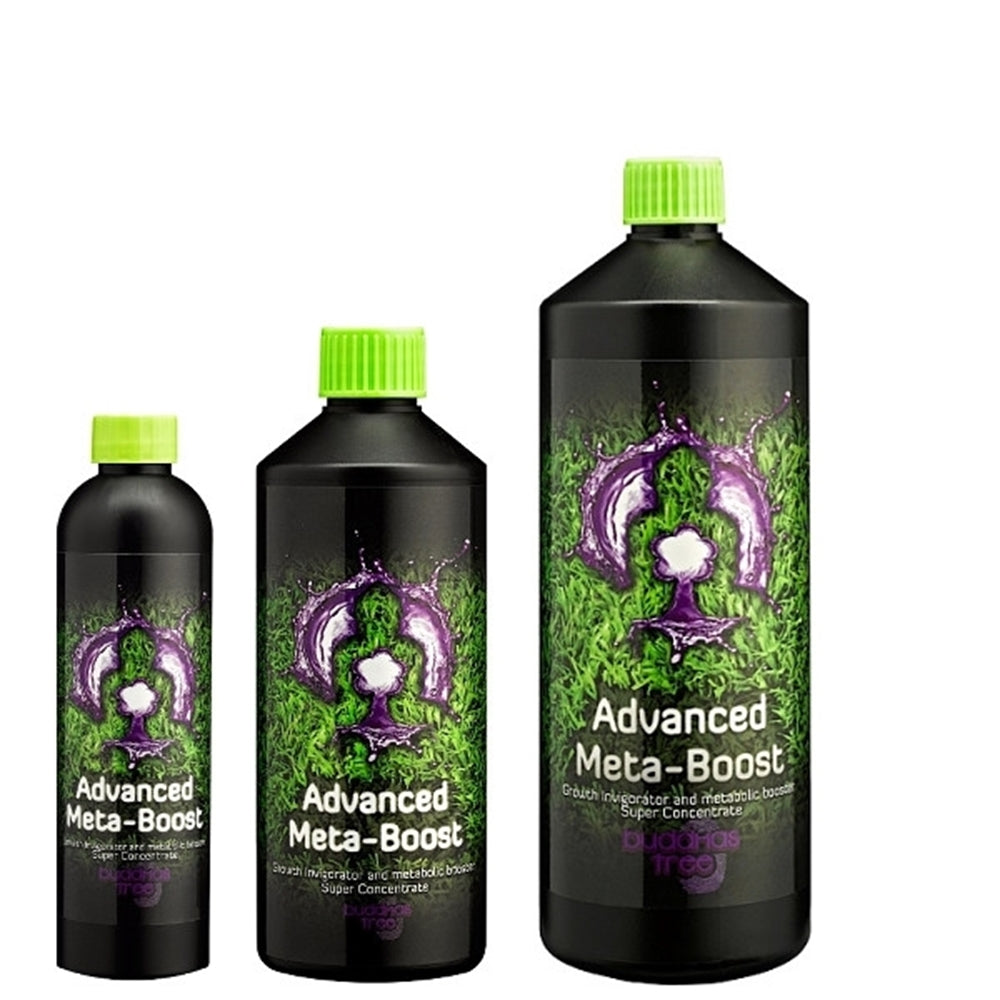 Buddhas Tree - Advanced Meta-Boost – HIGHSTREETHYDRO